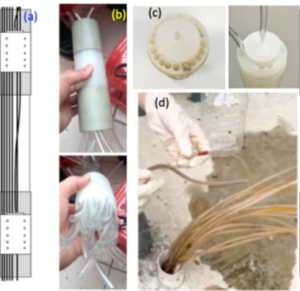 HKU Groundwater Samplers